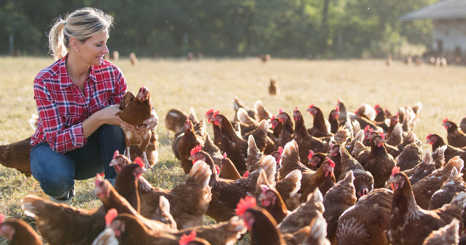 Animal Farm Tour in Porto | Portugal Farm Experiences