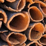 Portugal Cork Farm Tours | Portugal Farm Experiences