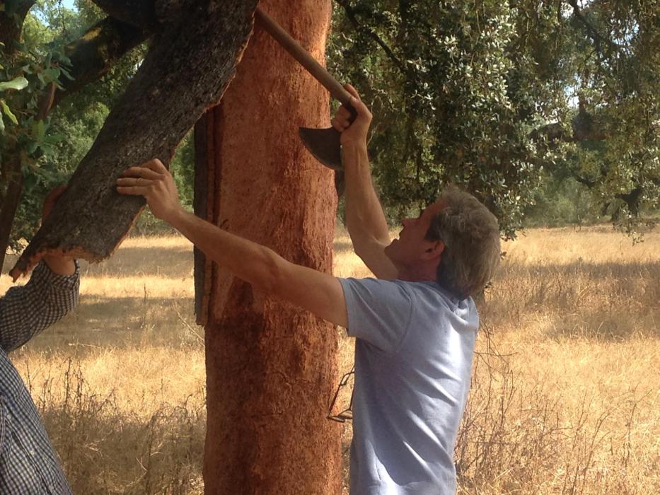 Best Cork Tours in Portugal | Portugal Farm Experiences