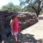 Portugal Cork Farm Tours | Portugal Farm Experiences