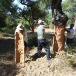 Portugal Cork Farm Tours | Portugal Farm Experiences