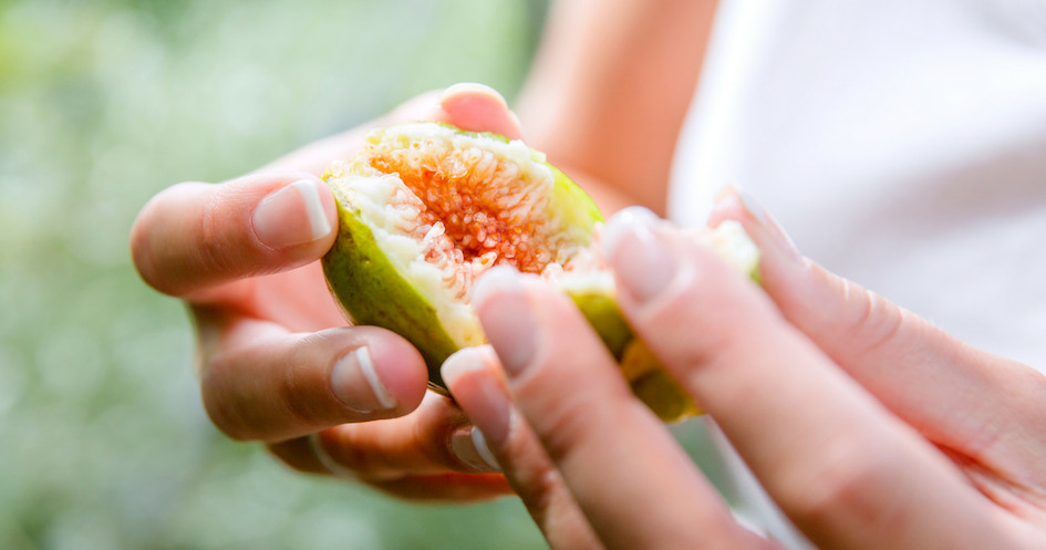 Fig Farm Tour Near Lisbon | Portugal Farm Experiences