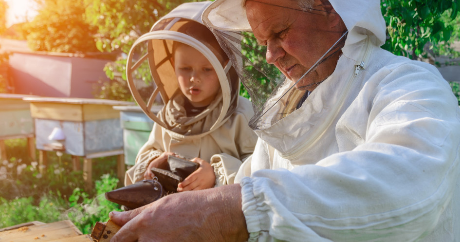 Lisbon Bee Camp | Portugal Farm Experiences