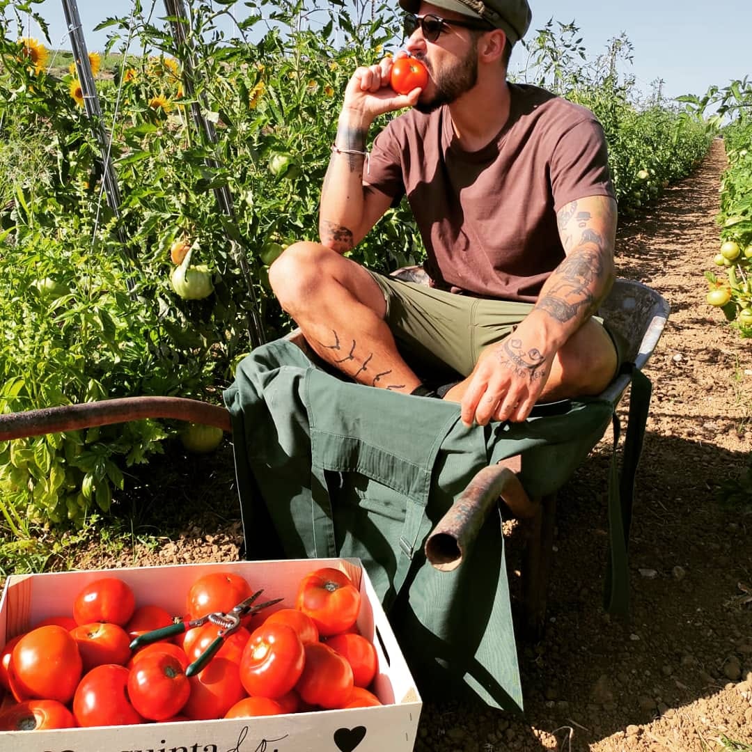 Lisbon Organic Farm Tours | Portugal Farm Experiences