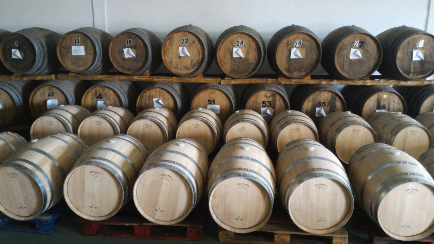 Azores Farm Tours & Excursions | Portugal Farm Experiences