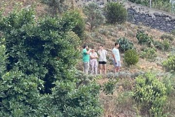 Madeira Farm Tour | Portugal Farm Experiences