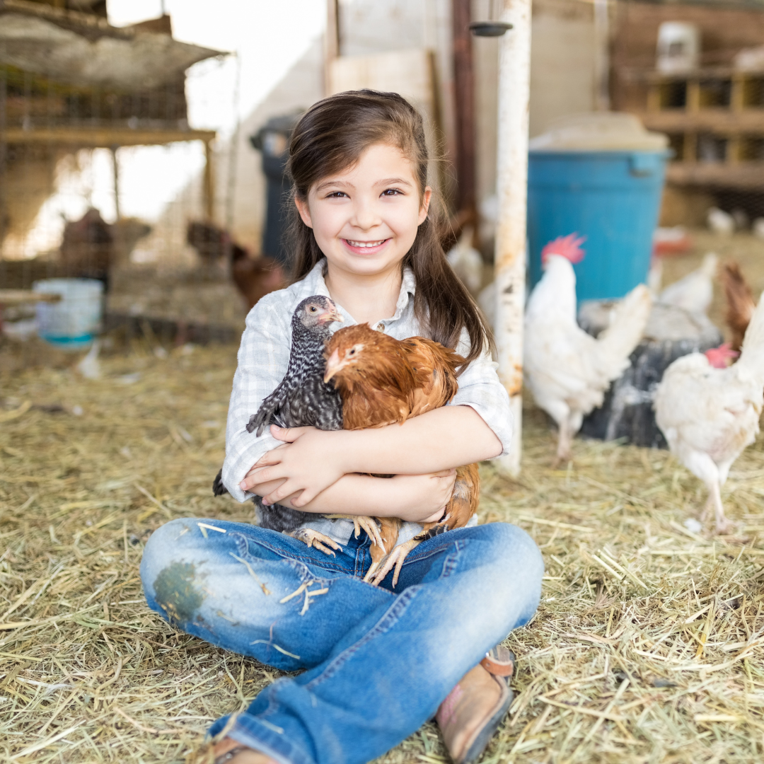 Best Pedagogical Farm in Portugal I Portugal Farm Experiences