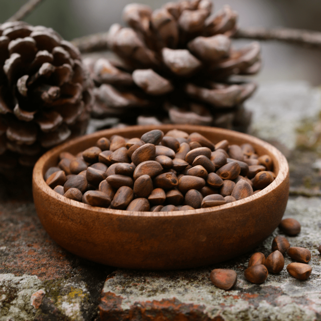 Algarve Pine Nuts Farm Tour | Portugal Farm Experiences
