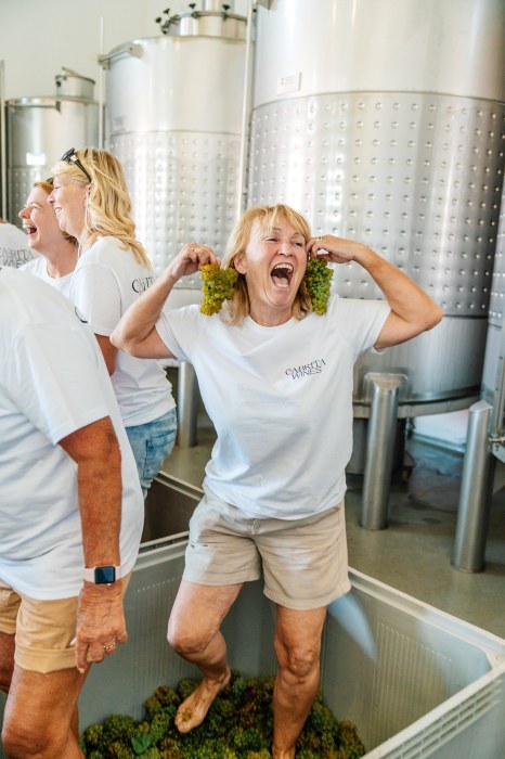 Silves Grapes Harvest Tour | Portugal Farm Experiences