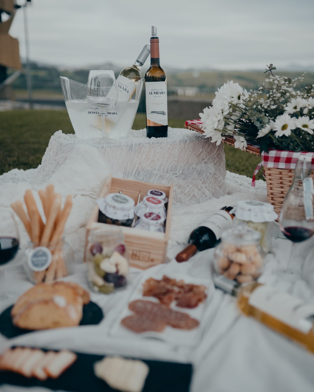Picnic in the Vineyards near Lisbon | Wine Tour