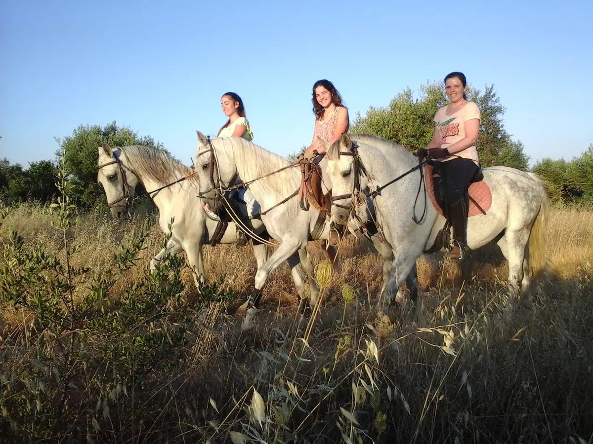 Horseback Riding in the Vineyard | Portugal Farm Experiences