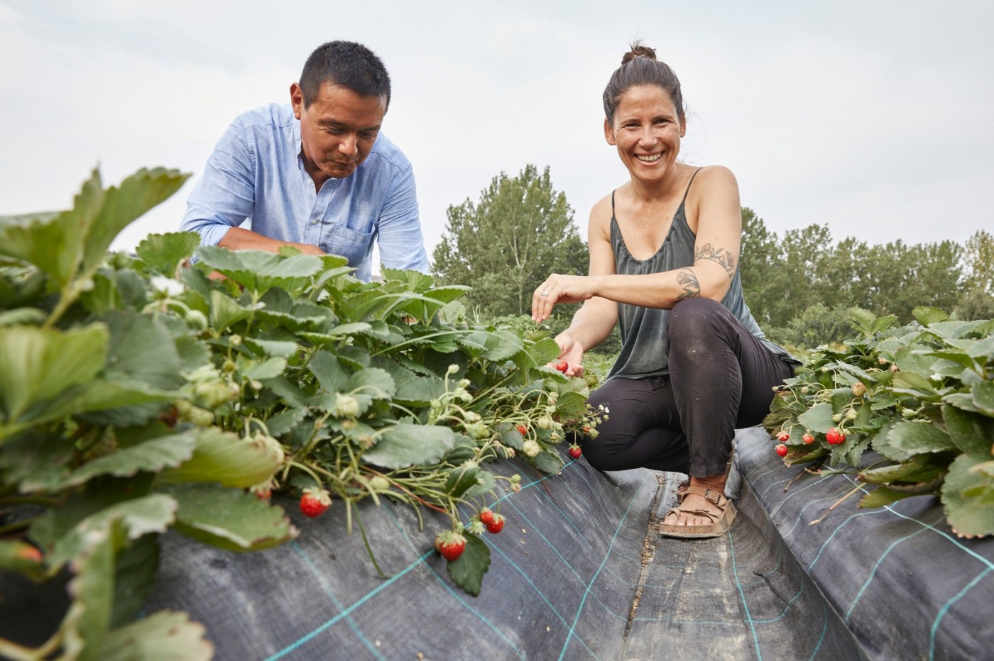 Porto Organic Farm Tour | Portugal Farm Experiences