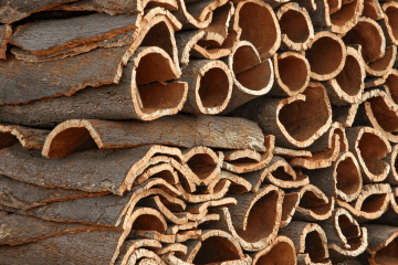 Cork Farm Tours | Portugal Farm Experiences