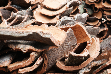 Cork Farm Tours | Portugal Farm Experiences