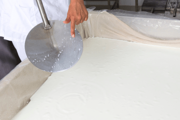 Goat Cheese Making Experience | Portugal Farm Experiences