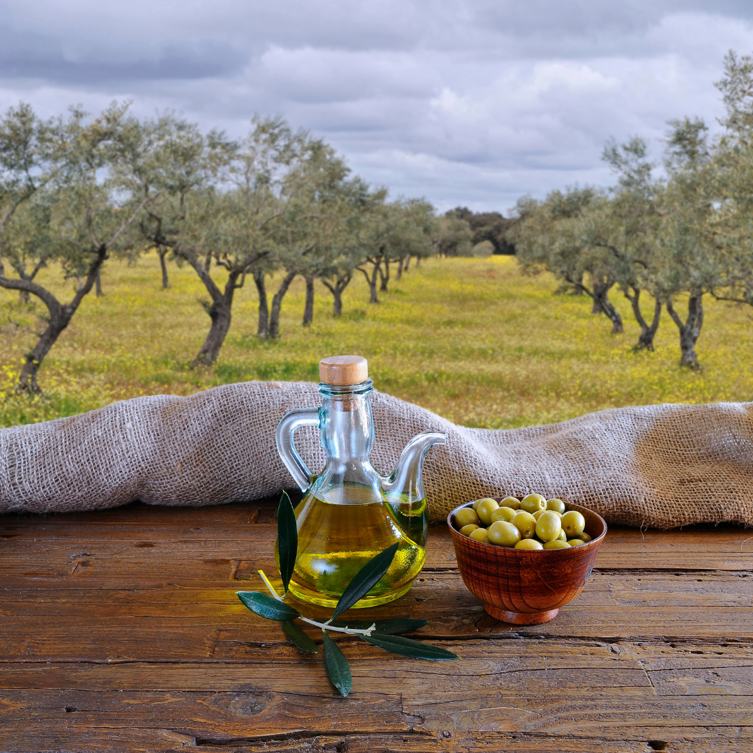 Premium Olive Oil Tasting Tour | Portugal Farm Experiences