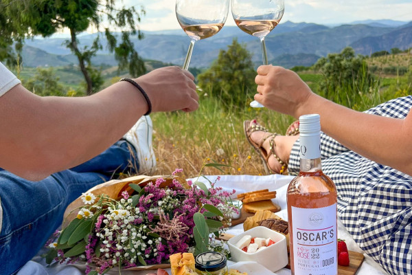 Douro Valley Picnic Winery | Portugal Farm Experiences