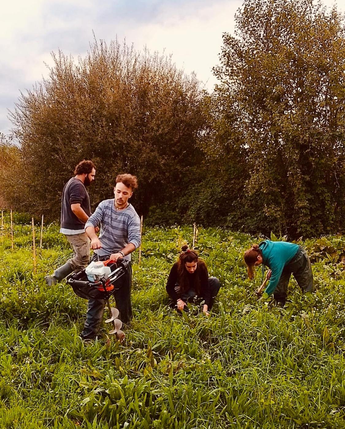 Mediterranean Species Farm Tour | Portugal Farm Experiences