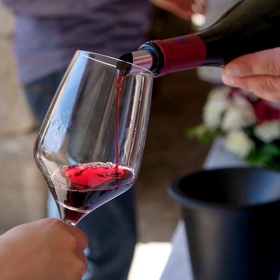 Serra da Estrela Wine Tasting | Portugal Farm Experiences