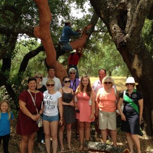 Algarve Cork Factory Tour | Portugal Farm Experiences