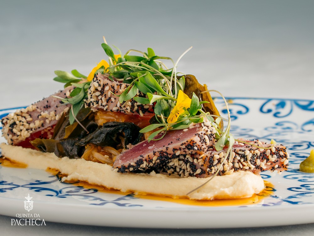 Lamego Winery Gourmet Tasting| Portugal Farm Experiences