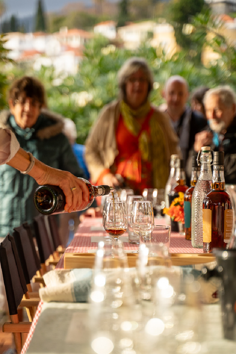 Madeira Vineyard Collection Tour | Portugal Farm Experience