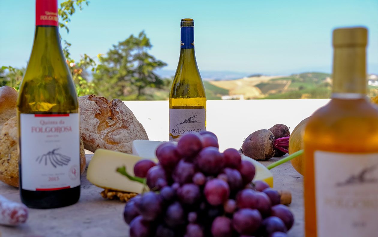 Lisbon Discovery Wine Tasting | Local Wine Experience