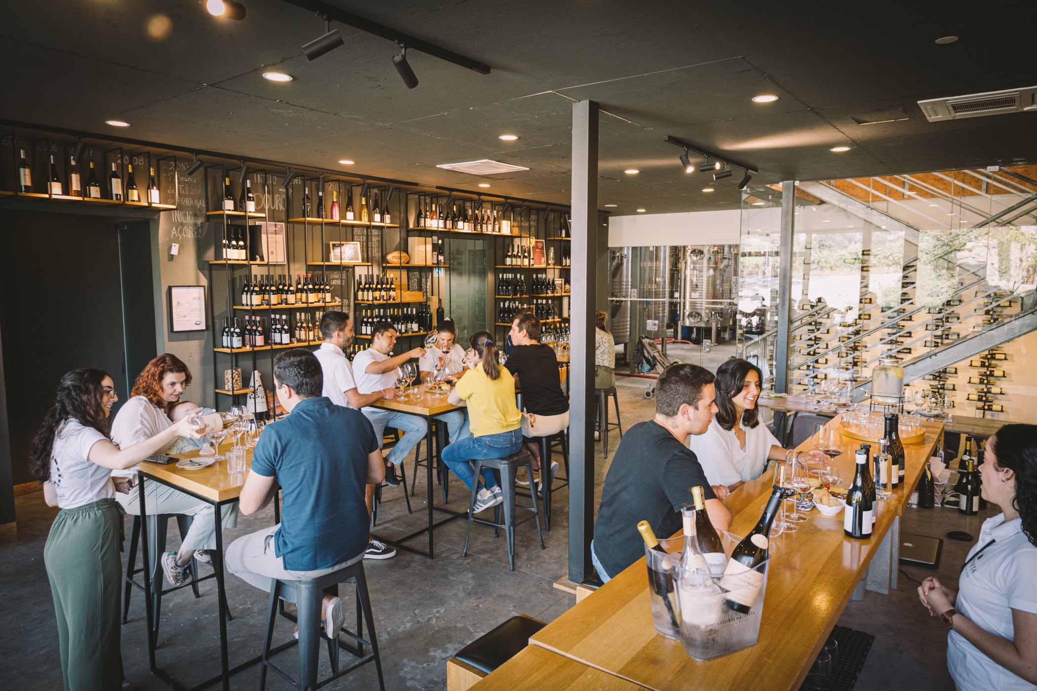 Wine Tasting Tour in Évora | Portugal Farm Experiences