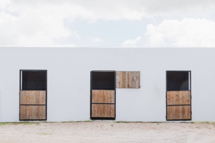 Lisbon Horseback Riding Sunset Beach | Portugal Farm Experiences