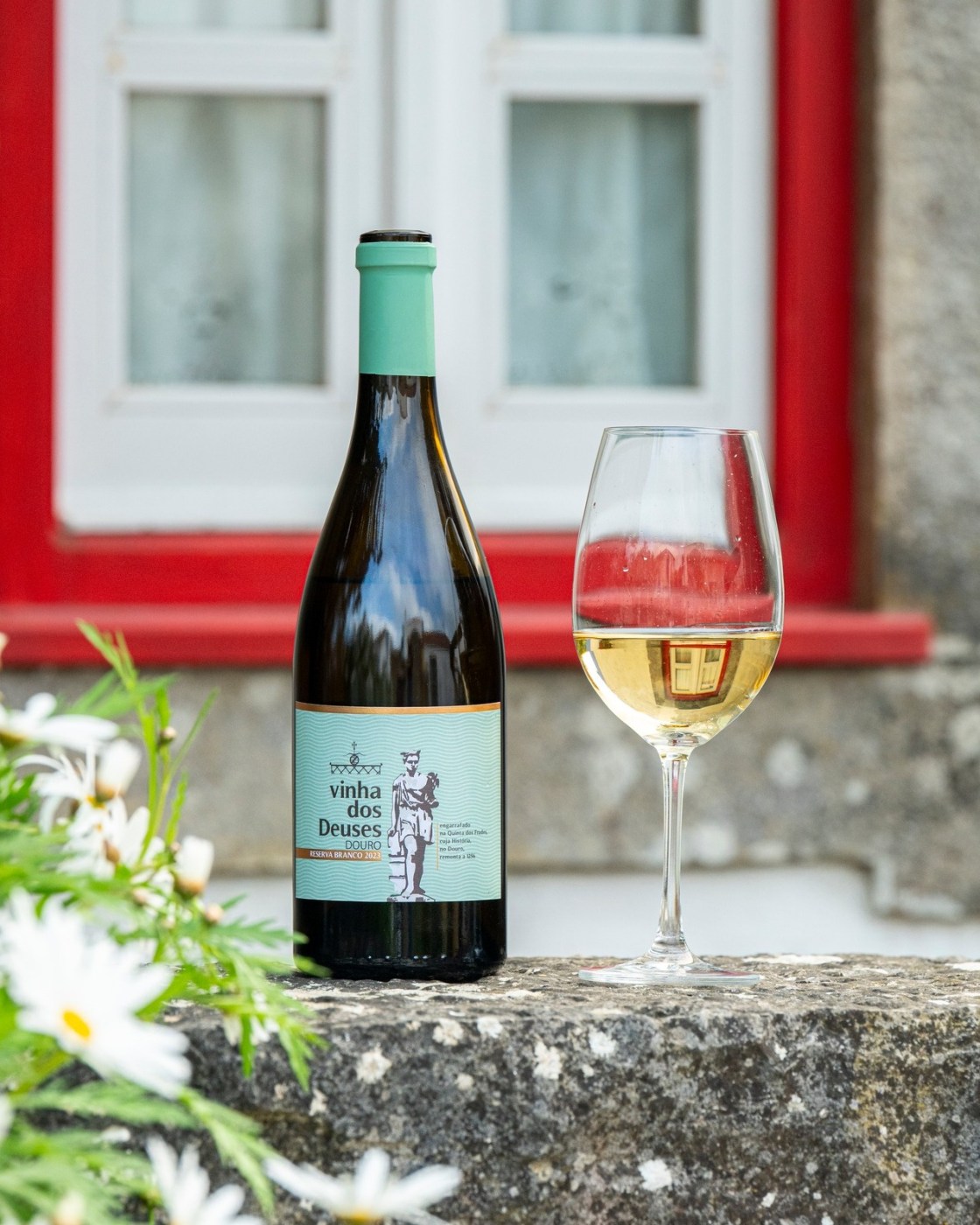 Douro Valley White Wine Tasting in Armamar | Portugal Farm Experiences